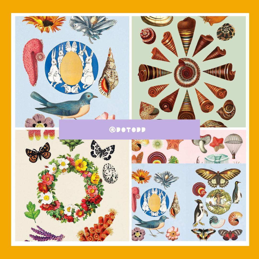 Mes lectures coup de coeur pour se lancer dans le collage